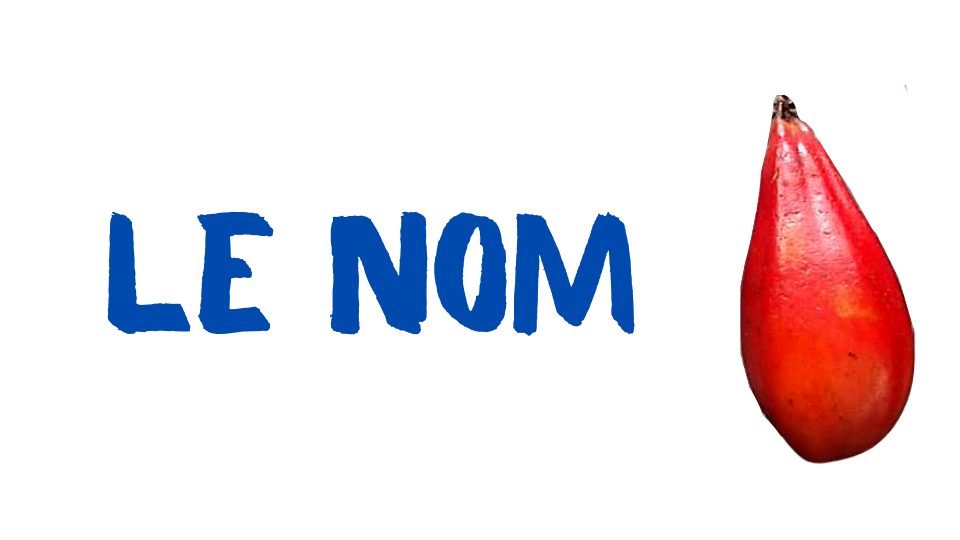 Le tondolo – Par Amour Pour l'Interview